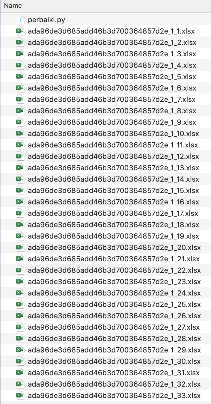 Python Script Perbaiki File Excel Basang Data